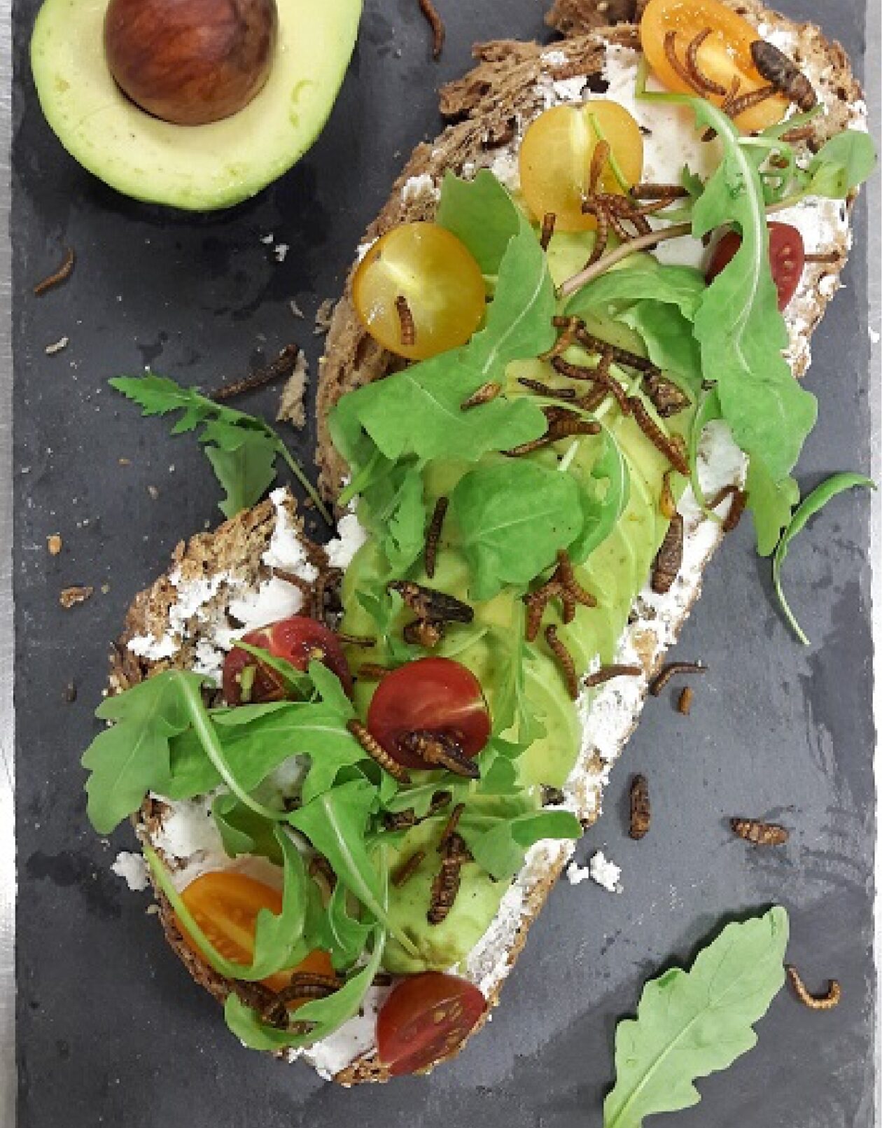 Recettes by Micronutris à base d'insectes comestibles