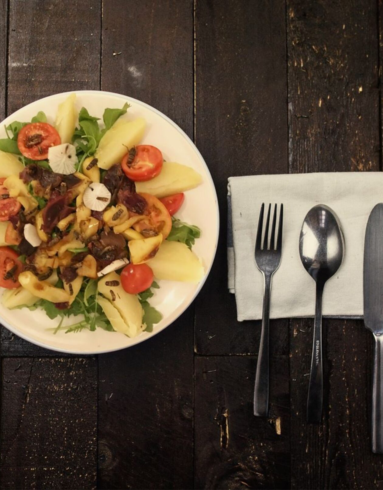 Recettes by Micronutris à base d'insectes comestibles