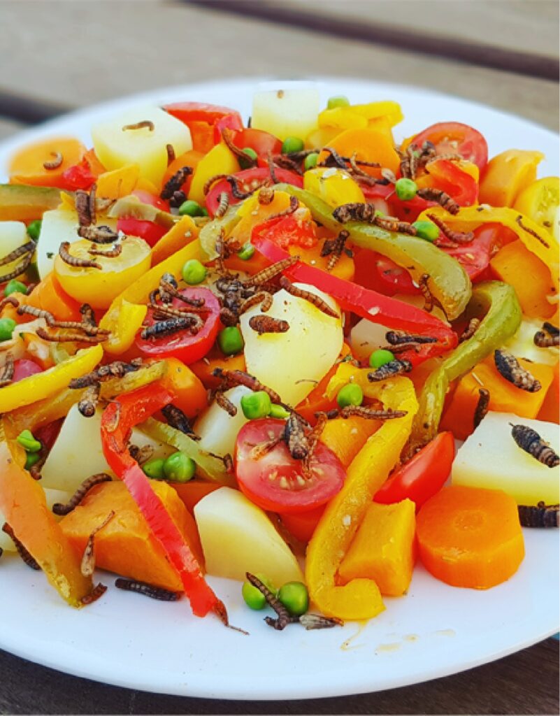 Recettes by Micronutris à base d'insectes comestibles